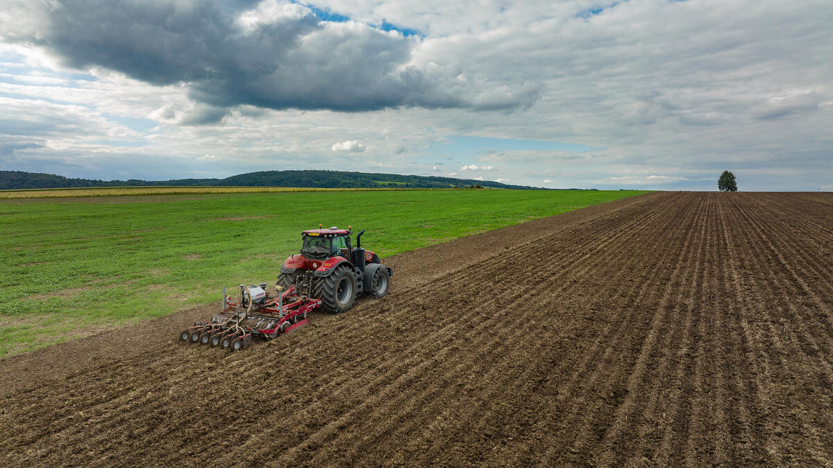 SUMO Trio pomáhá v družstvu Morava Pustiměř zvyšovat výnos řepky | AGRI ...